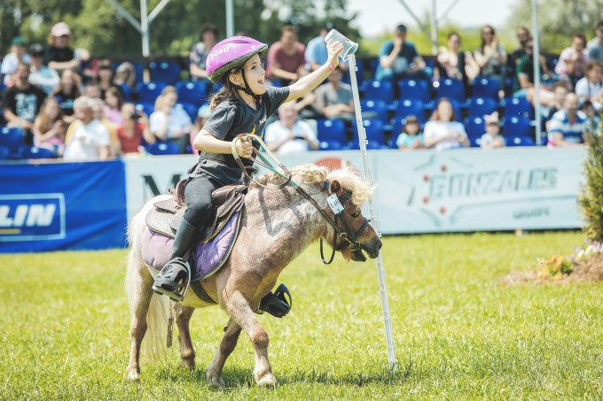 Karpatia Pony Show 2023: cinci zile de actiune si distractie pent