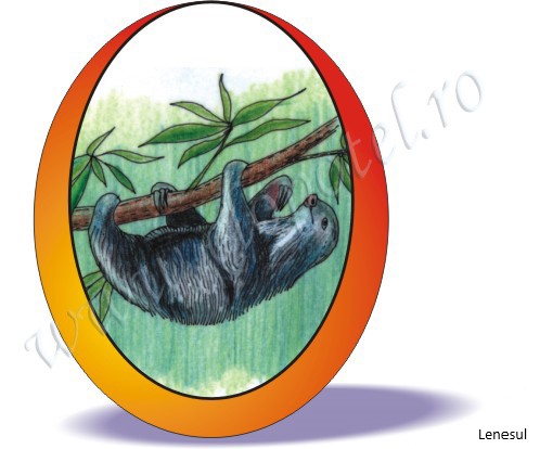 Top cele mai neobisnuite animale