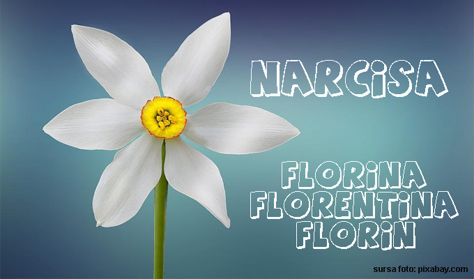 Cui se spune "La Multi Ani!" de Florii. Afla ce mesaje sa trimiti