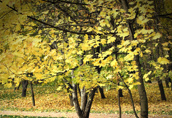 Sarbatori amuzante si importante in luna septembrie