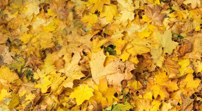 Luna septembrie - semnificatia primei luni de toamna