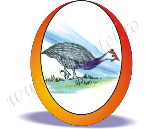 Dictionar ilustrat : Bibilica :: Guinea fowl :: Pintade :: Perlhuhn