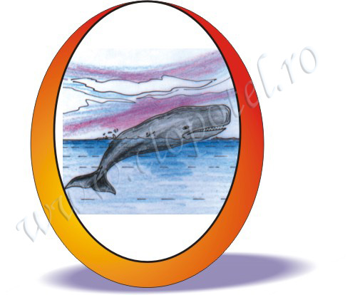 Dictionar ilustrat : Casalot :: Sperm whale :: Cachalot :: Pottwal