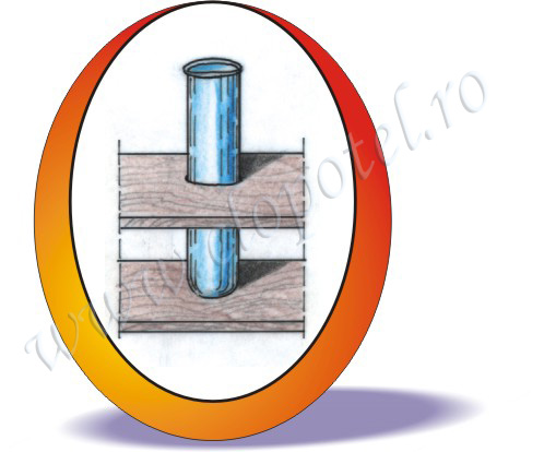 Dictionar ilustrat : Eprubeta :: Test tube :: Eprouvette :: Eprouvette
