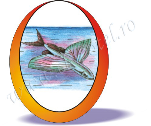 Dictionar ilustrat : Peste-zburator :: Flying fish :: Poisson-volant ...